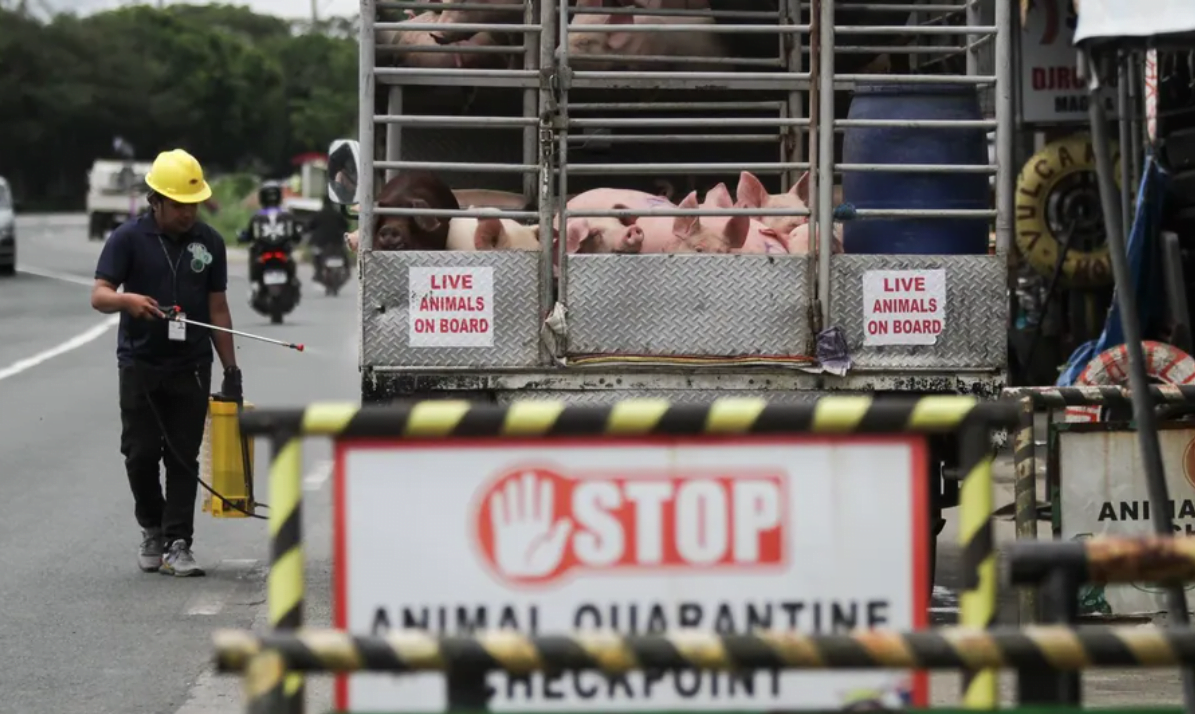 Intensified ASF Control: Disinfection Efforts and Potential Vaccine ...